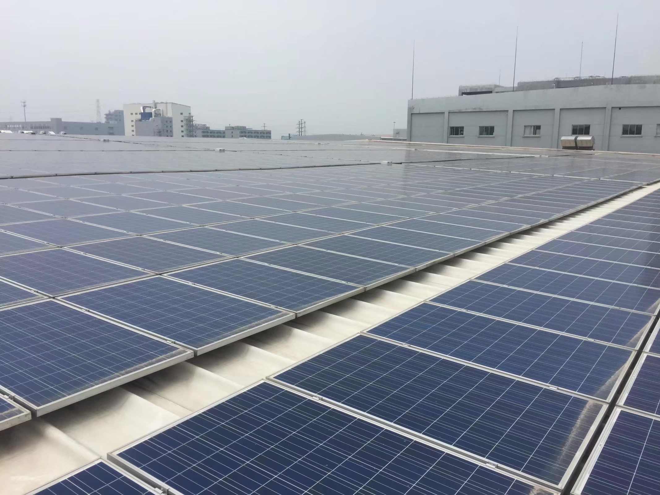 Solvay and 3TREES collaborate to extend the lifetime of BIPV roofing ...