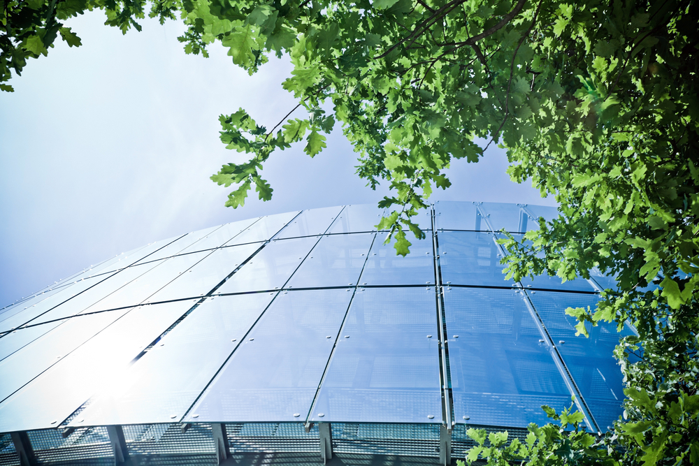 Our Sustainability Strategy | Solvay